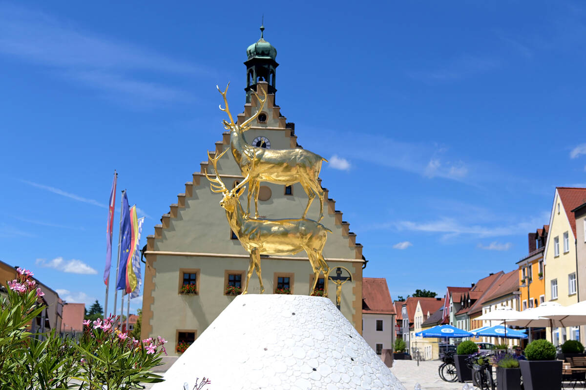 Stadt Hirschau - Stadt Hirschau